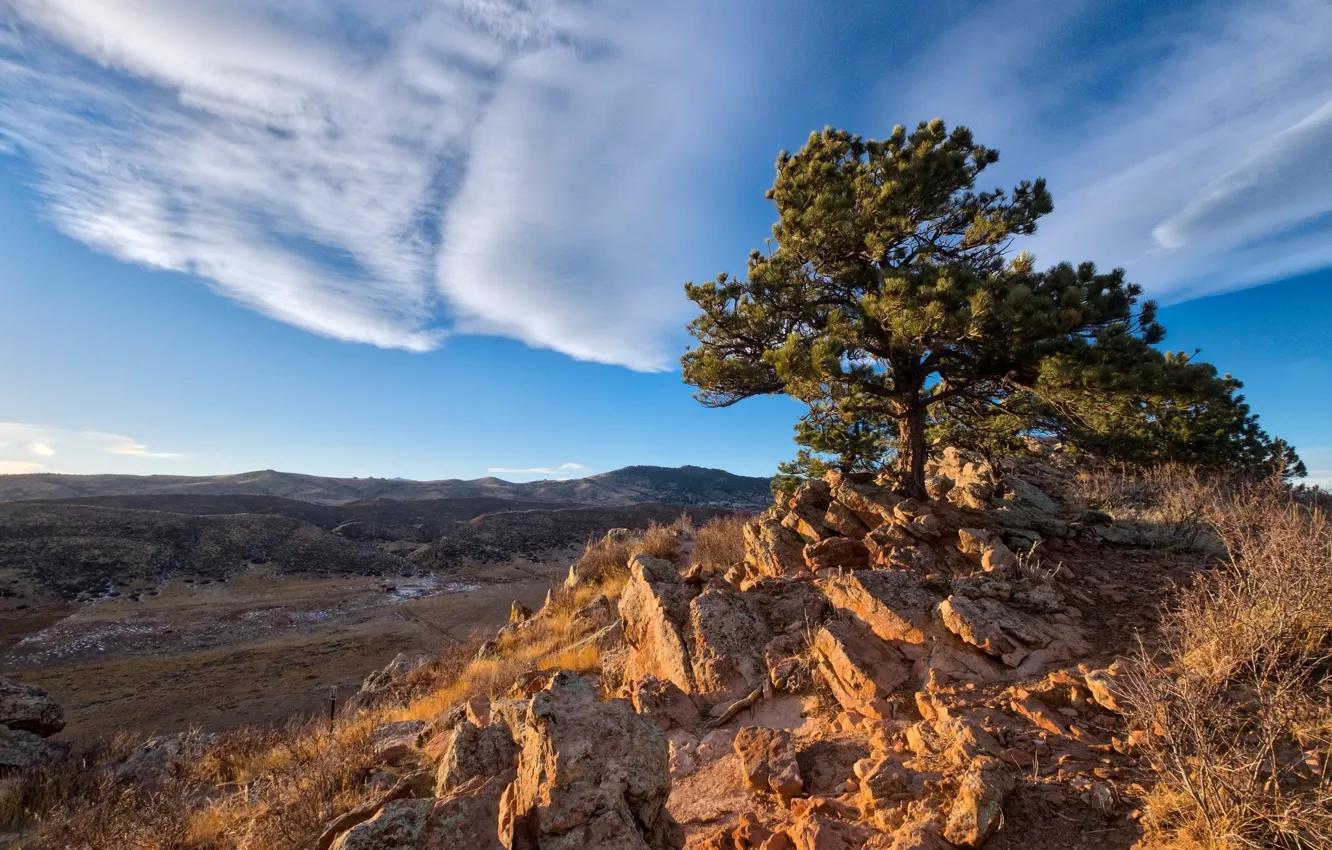 Wallpaper the sky, rock, tree for mobile and desktop, section пейзажи ...