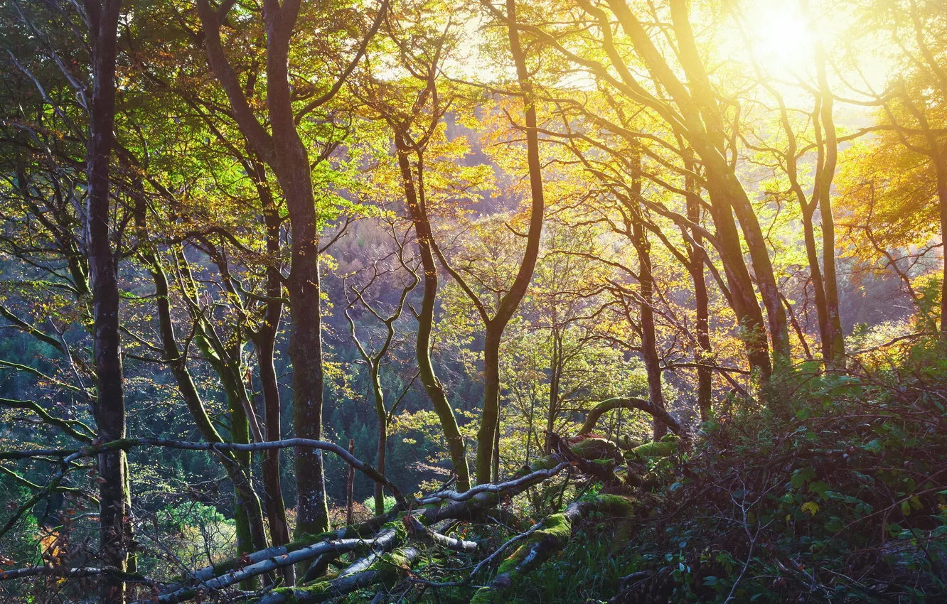 Wallpaper dawn, Ireland, Ireland, Antrim County, Sunset County Antrim ...