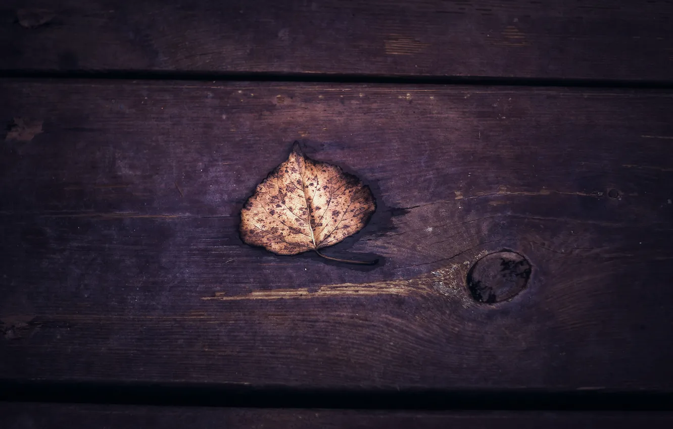 Wallpaper sheet, table, background images for desktop, section разное ...