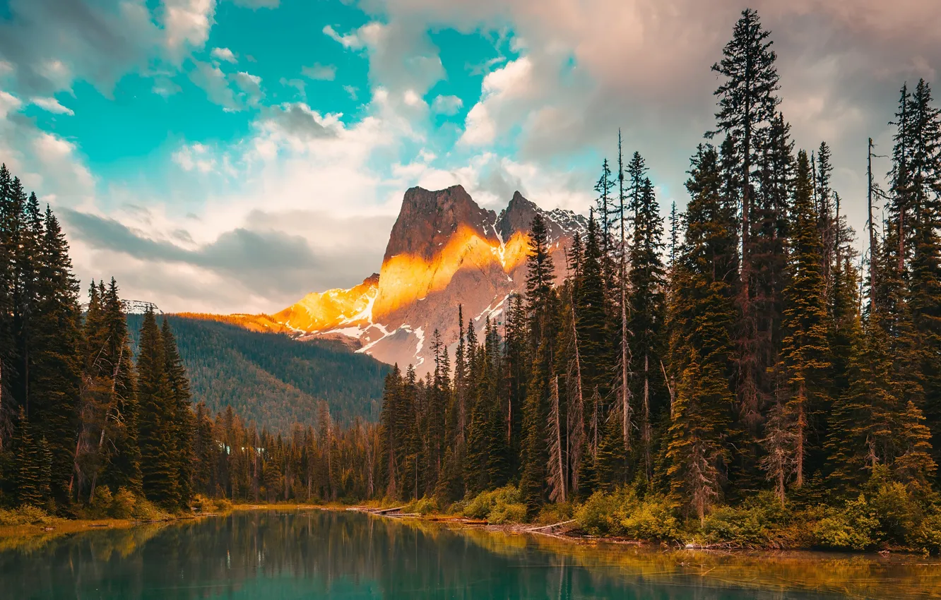 Wallpaper forest, the sky, clouds, trees, mountains, lake, rocks ...