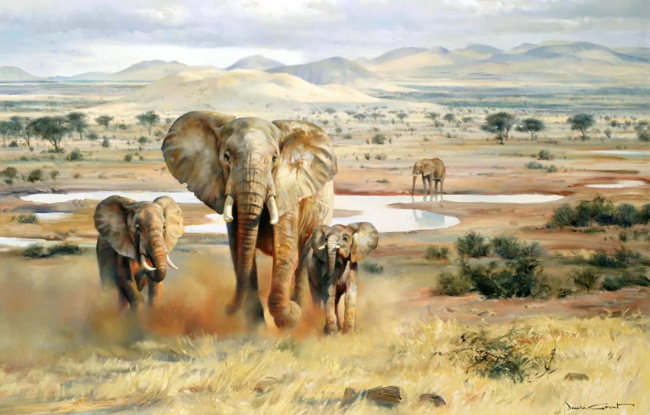 Wallpaper Grass, Picture, Elephants, Savannah, Donald Grant, British animal artist, Donald Grant ...