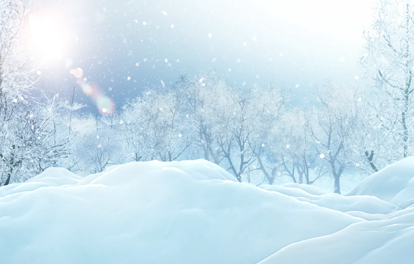 Wallpaper winter, frost, forest, the sky, the sun, light, snow, trees ...