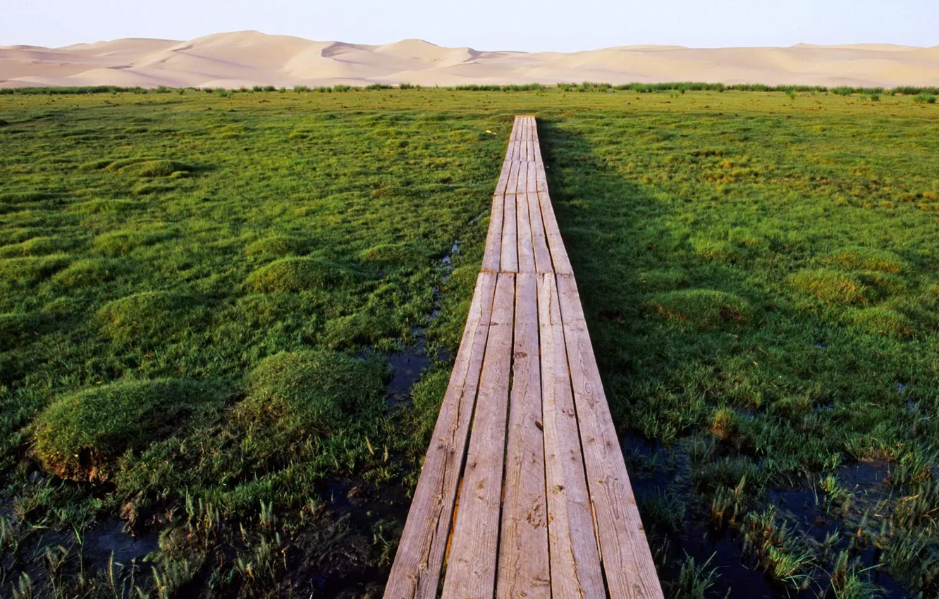 Wallpaper swamp, the bridge, Mongolia, Hongoryn ELS, Gobi for mobile ...