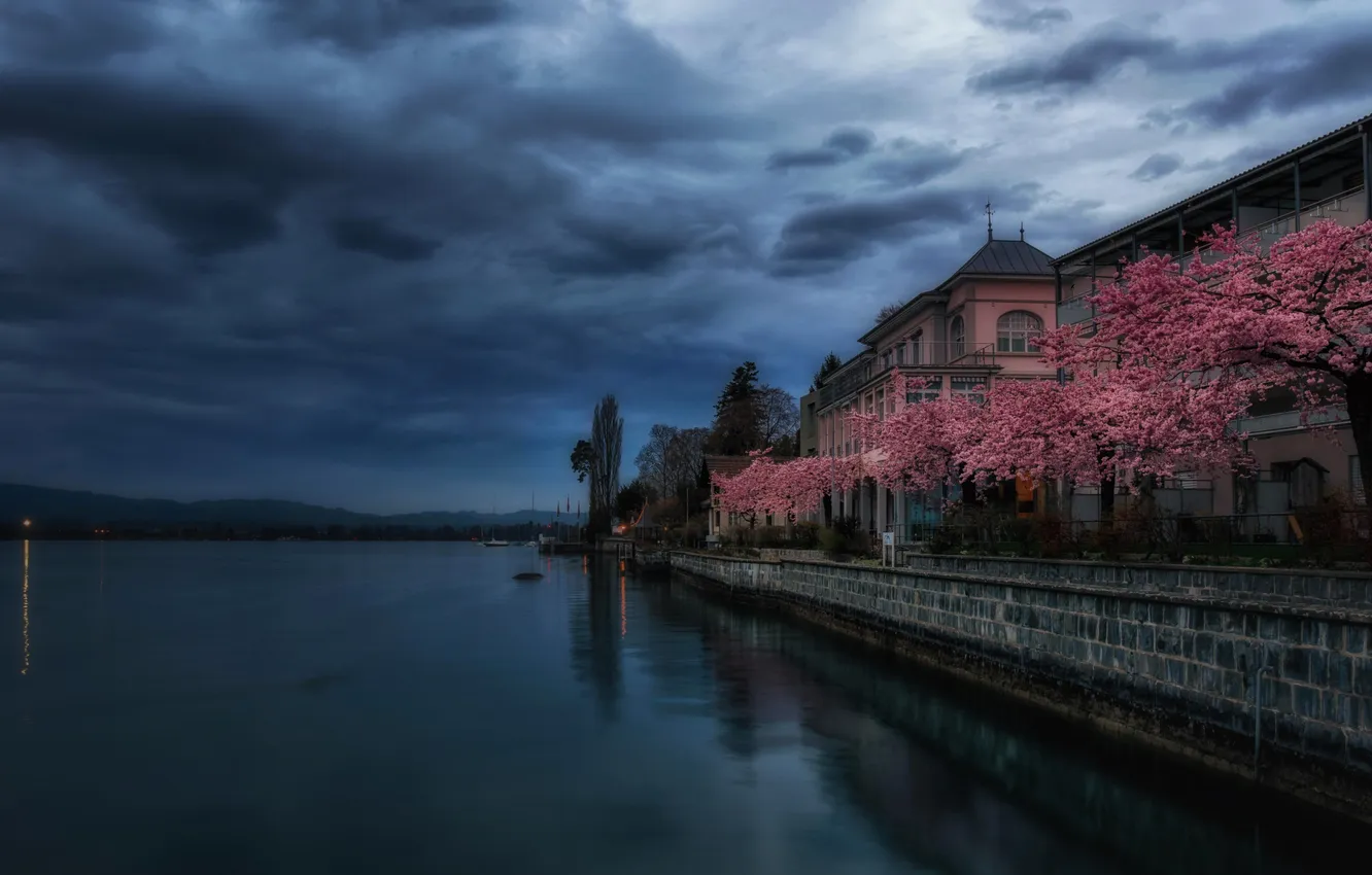 Wallpaper shore, building, spring, Sakura, twilight, pond for mobile ...