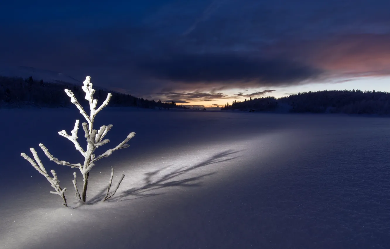 Wallpaper winter, field, snow, night images for desktop, section ...