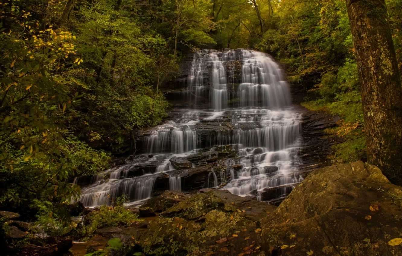 Wallpaper autumn, forest, waterfall, cascade, North Carolina, North ...