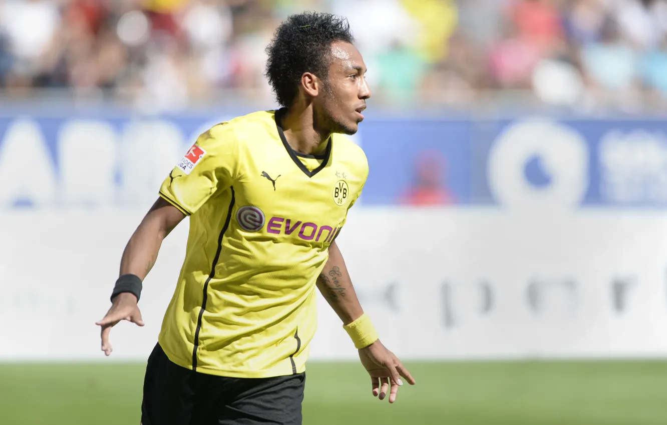 Wallpaper Sport, Football, Football, Sport, BVB, Dortmund, Borussia ...