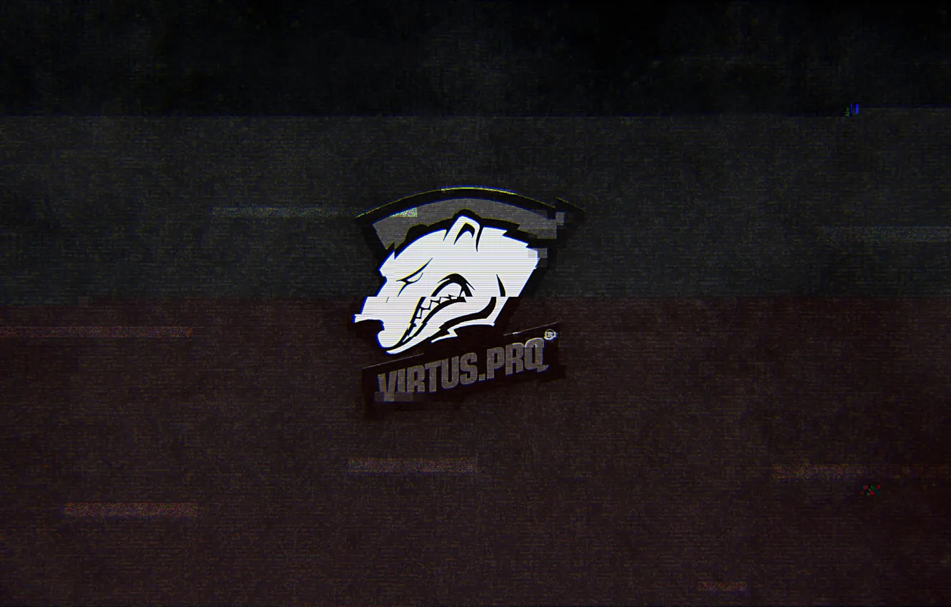 Wallpaper gamer, Team, PRO, Virtus.pro, CS:GO, pro team, pro gamer for ...