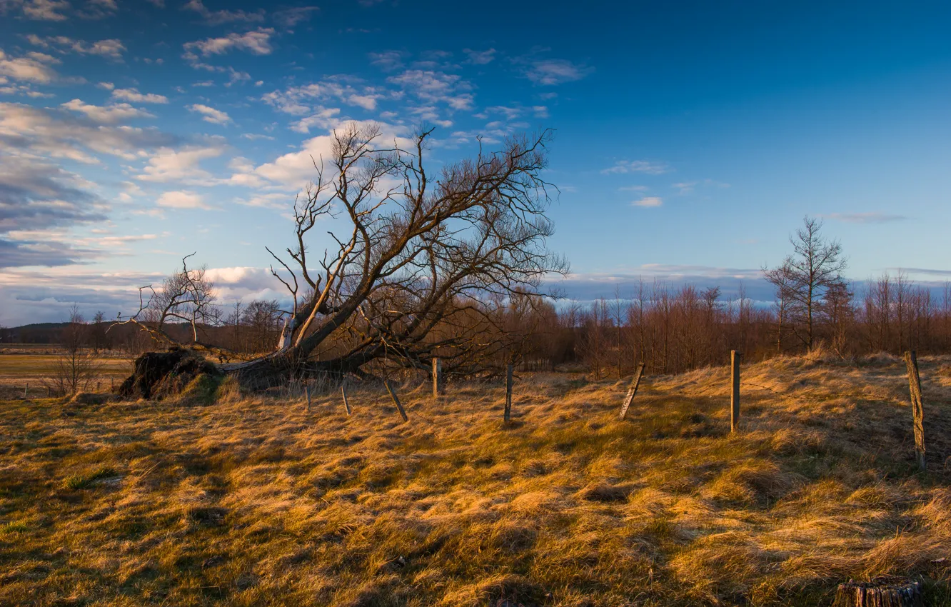 Wallpaper Narew River, Podlasie, Łomża, Pnevo, Valley Landscape Park ...