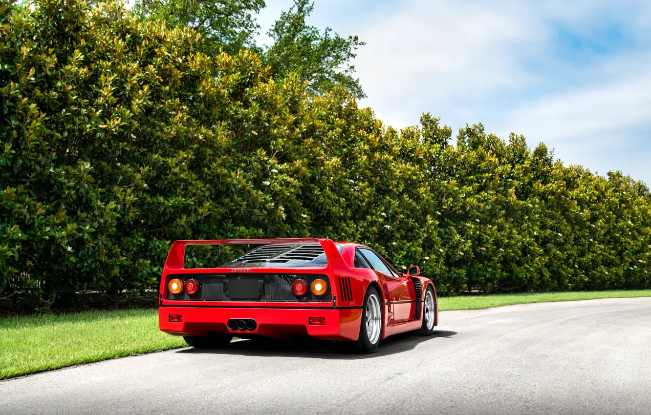 Wallpaper Red, F40, Rear view for mobile and desktop, section ferrari ...