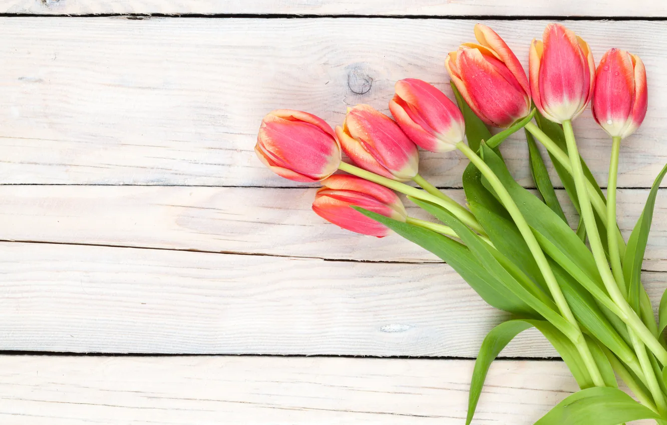 Wallpaper flowers, bouquet, tulips, red, wood, flowers, tulips, spring ...