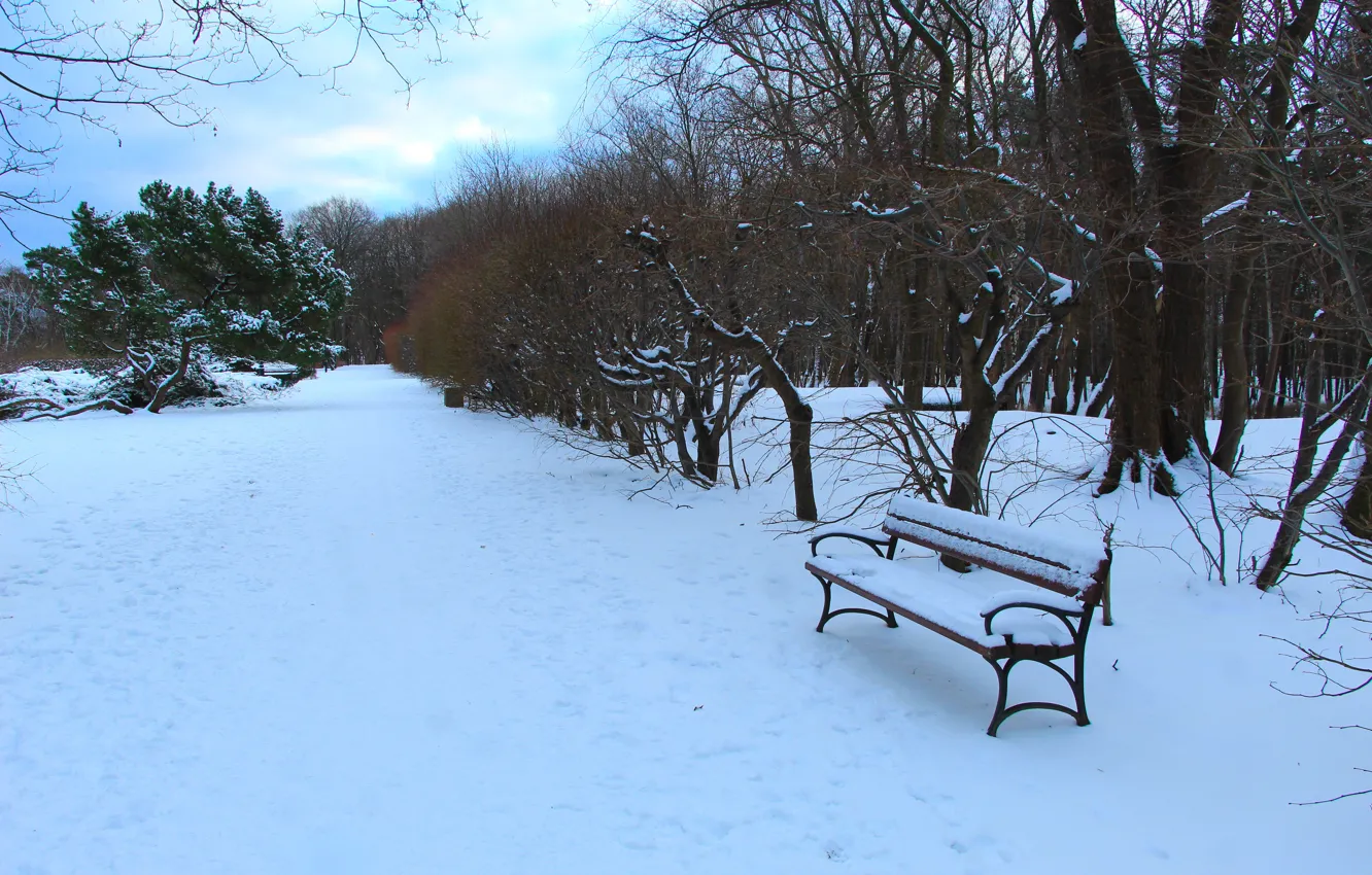 Wallpaper park, winter, bench for mobile and desktop, section пейзажи ...