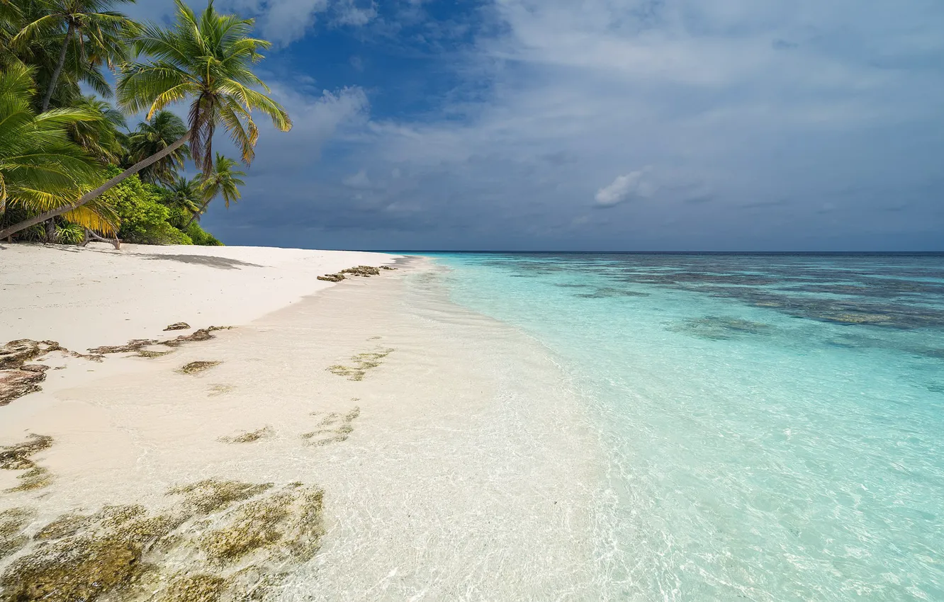 Wallpaper sea, beach, landscape, palm trees, Summer for mobile and ...