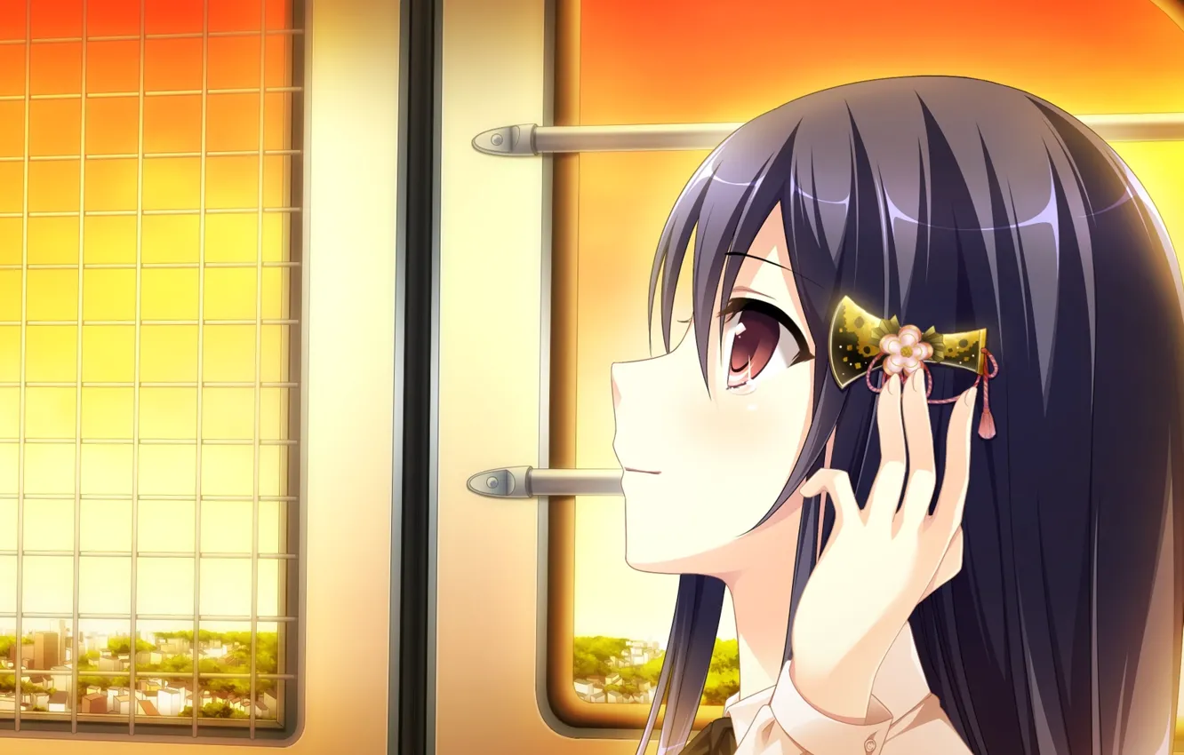 Wallpaper anime, barrette, art girl for mobile and desktop, section ...