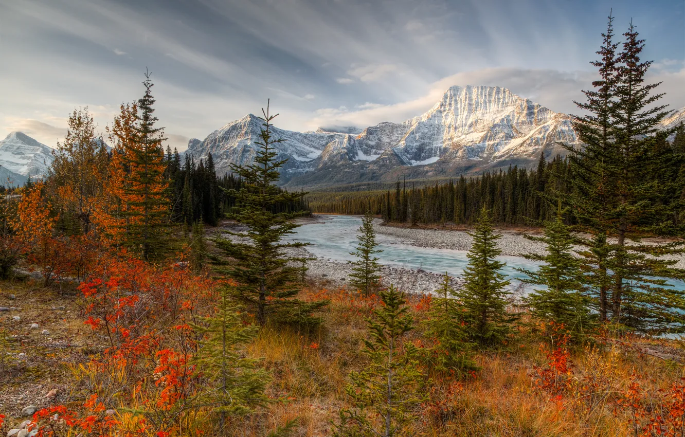 Wallpaper autumn, forest, mountains, Canada, Albert, Jasper national ...