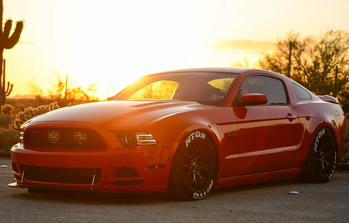 Wallpaper Mustang, Ford, GTR, Mustang, Red for mobile and desktop ...