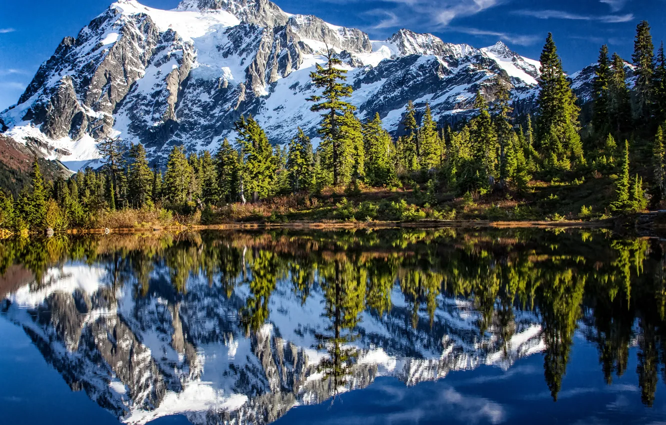 Wallpaper forest, trees, mountains, lake, reflection, Mountain Shuksan ...