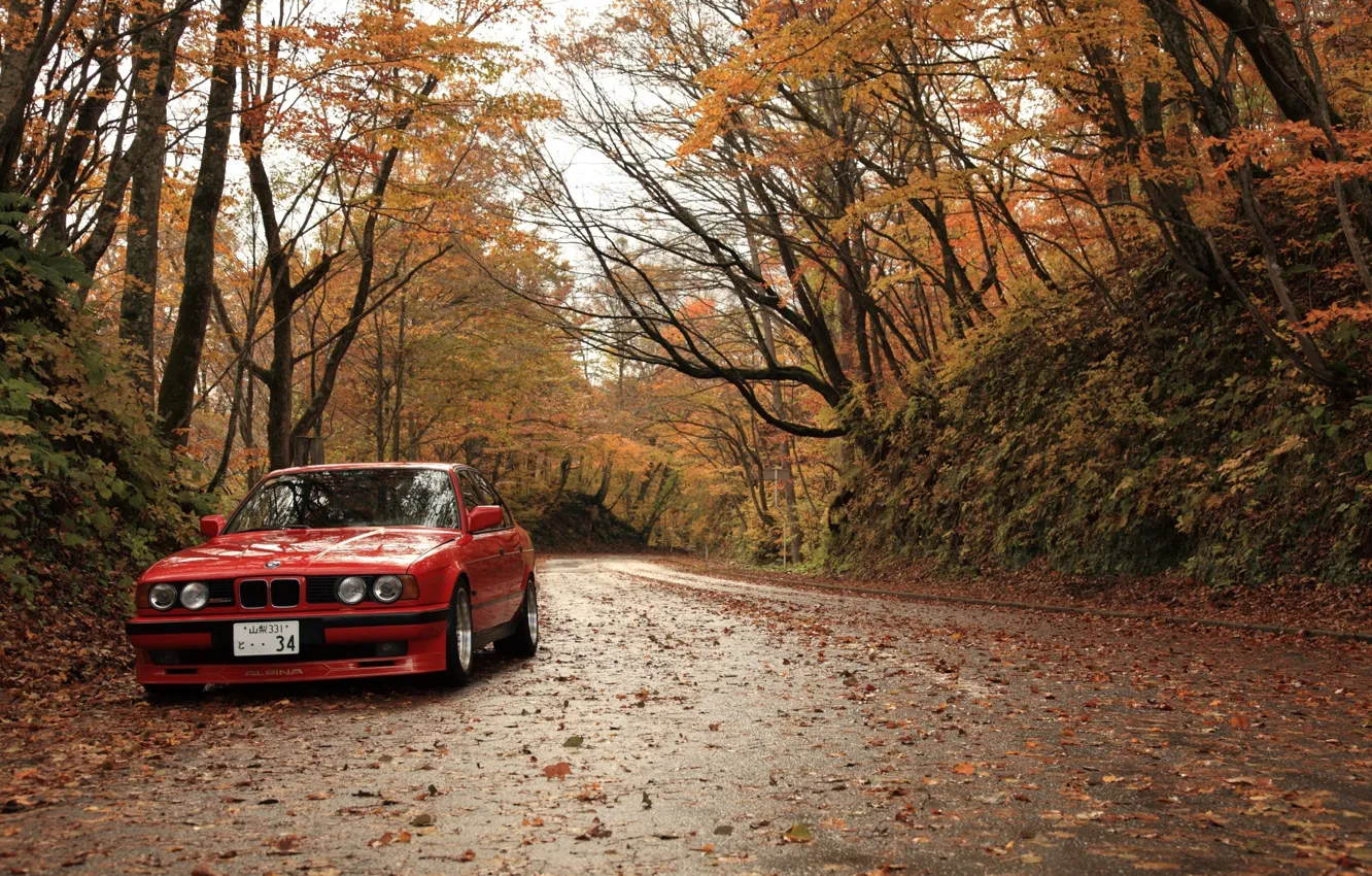 Wallpaper autumn, leaves, BMW, bmw. red images for desktop, section bmw - download