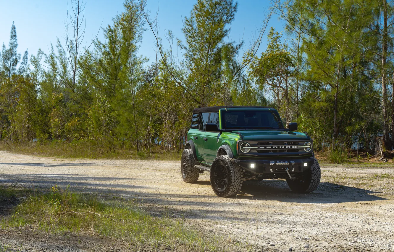 Wallpaper Green, Trees, Bronco for mobile and desktop, section ford ...