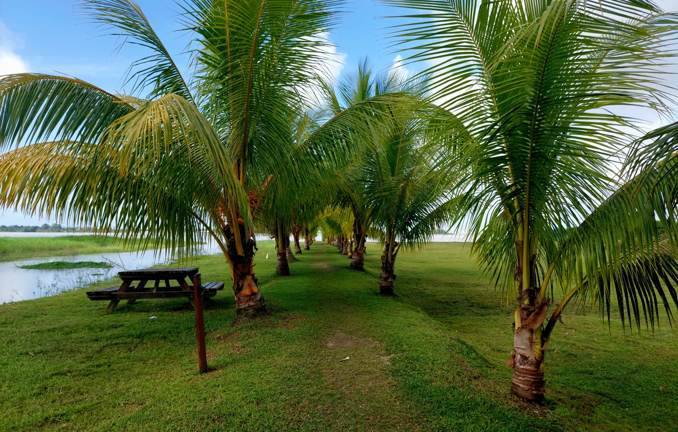 Wallpaper Resorts in Suriname, Pepperpot resort Suriname, Boutique ...