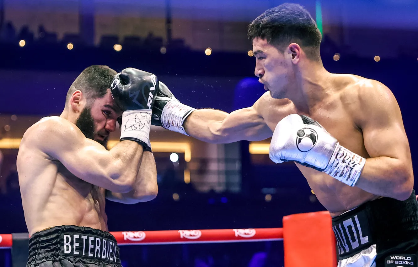 Wallpaper Boxing, Artur Beterbiev, Dmitry Bivol, fight for the title of ...