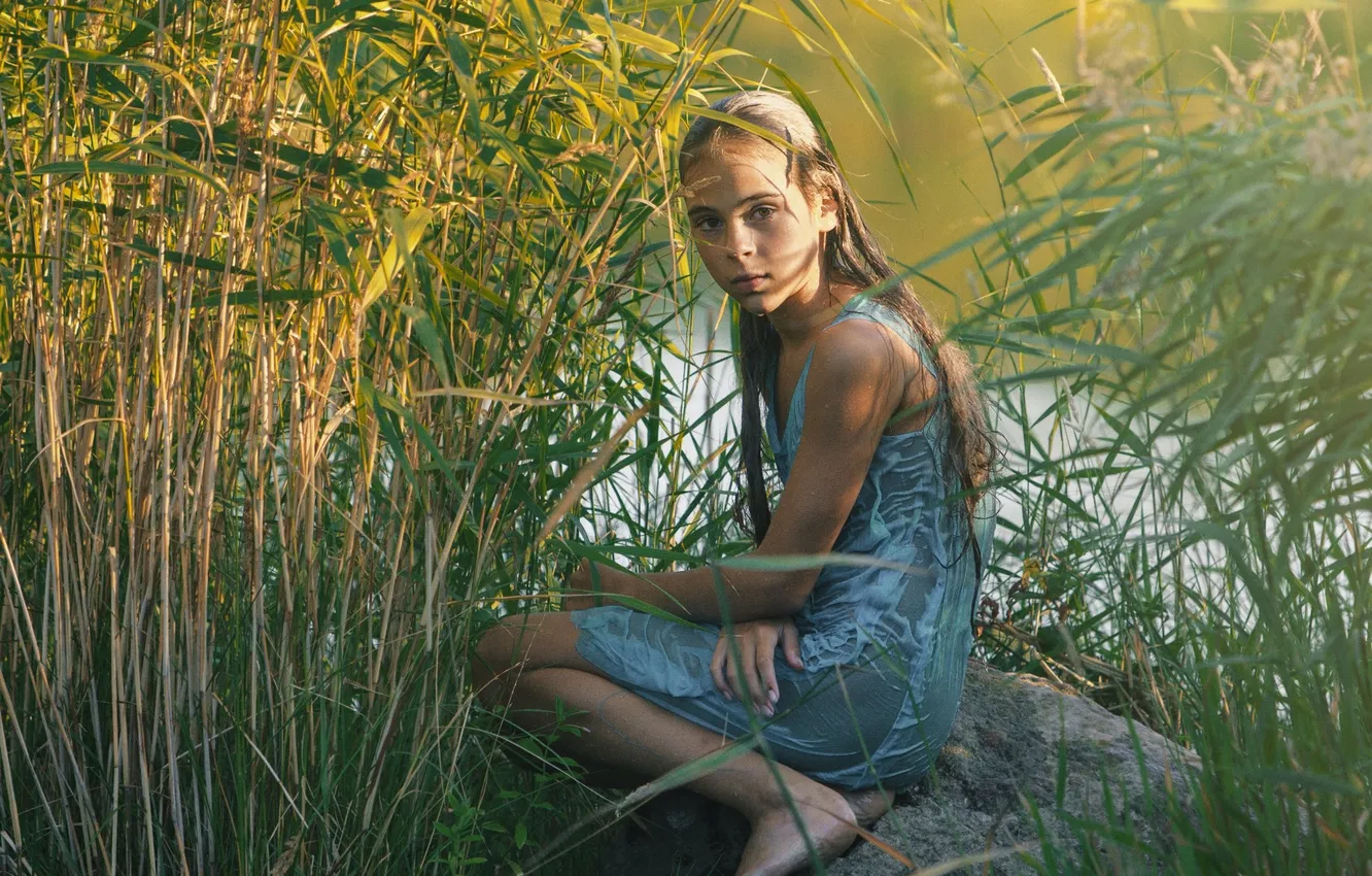 Wallpaper grass, nature, stone, Alina, Evgeny Matveev for mobile and ...
