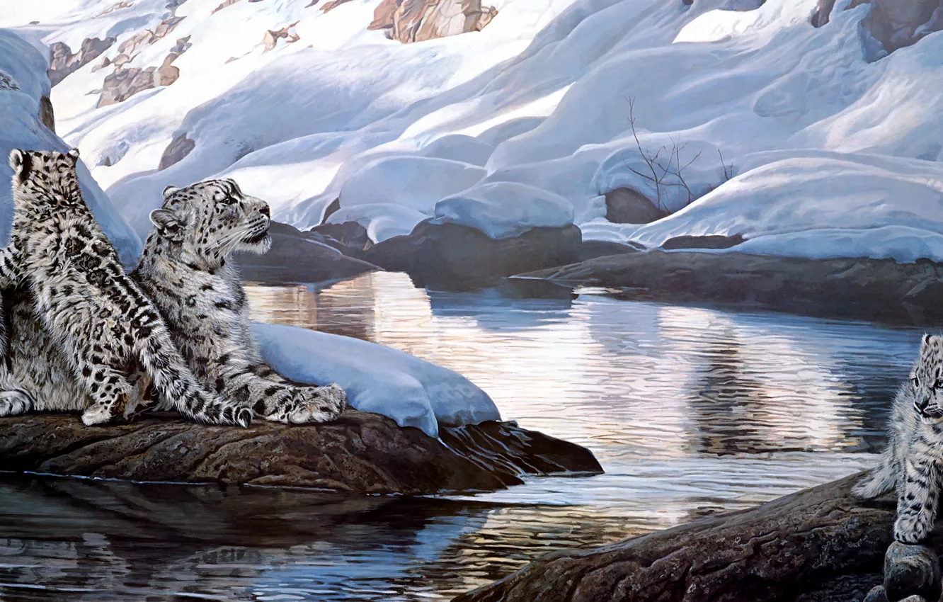 Wallpaper winter, kids, family, Terry Isaac, snow leopards, ounces for ...
