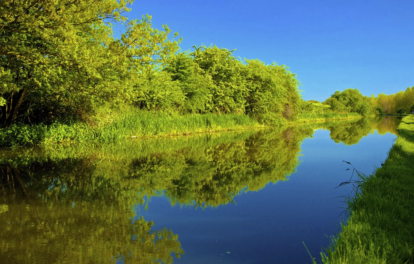 Wallpaper trees, landscape, channel for mobile and desktop, section ...