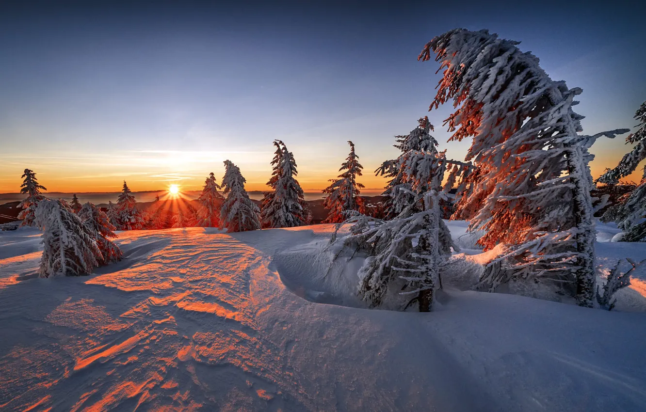 Wallpaper winter, the sun, rays, snow, trees, landscape, sunset, nature ...