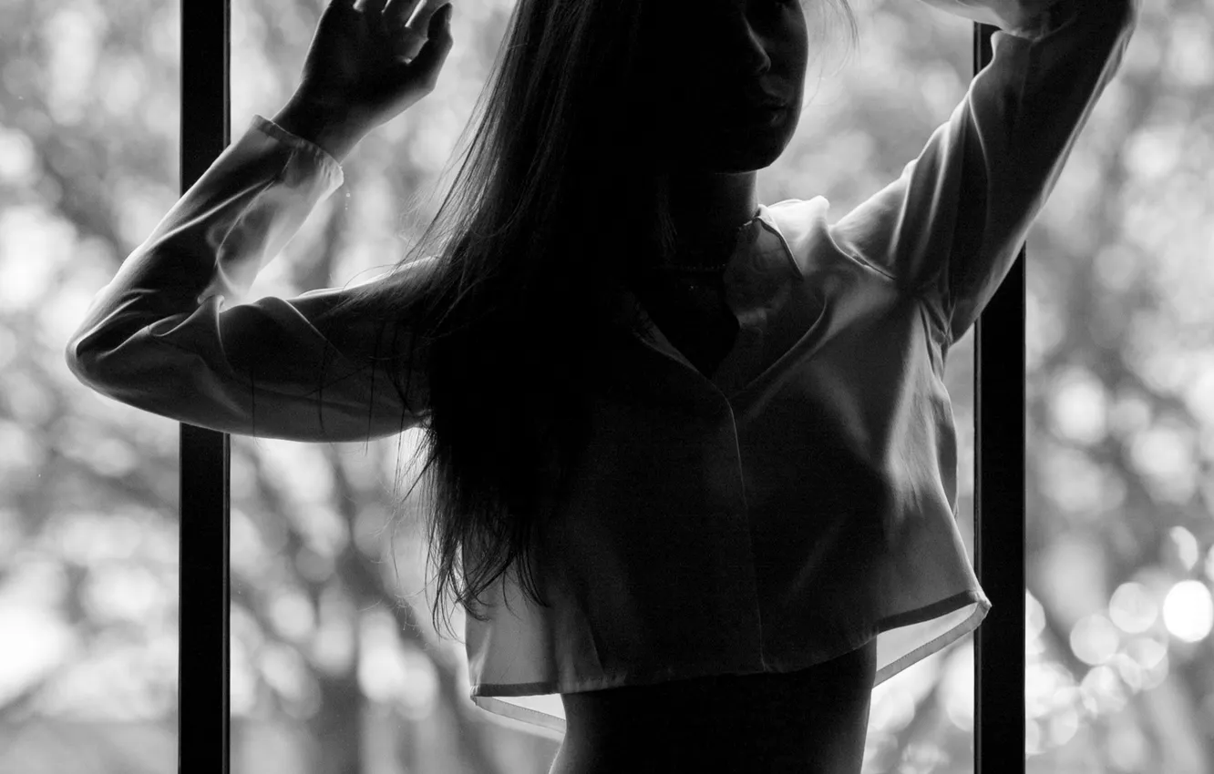 Wallpaper silhouette, window, black and white, monochrome, Alexey Pleshkov for mobile and ...