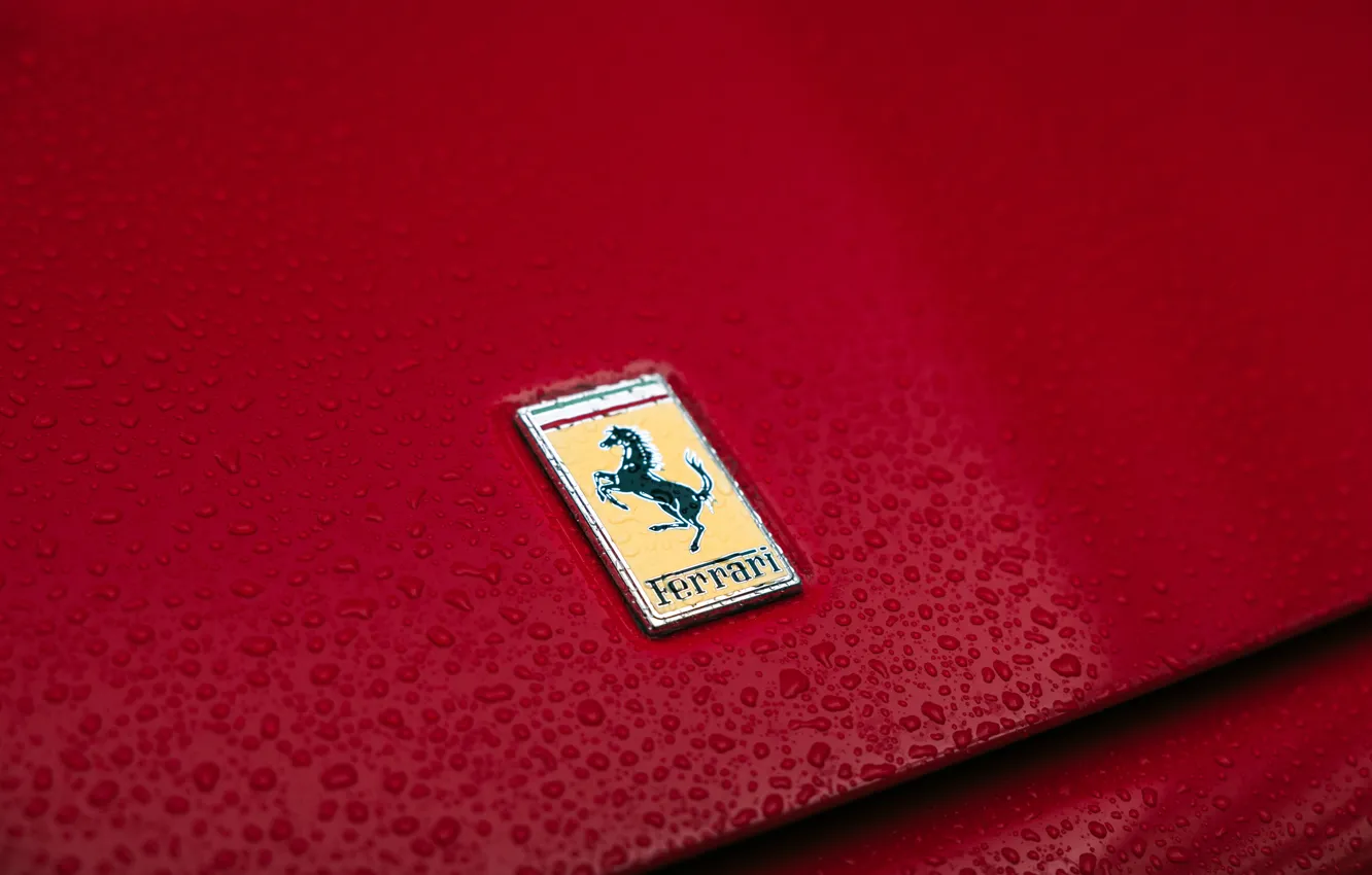Wallpaper Ferrari, logo, 575, badge, Ferrari 575M Maranello for mobile ...