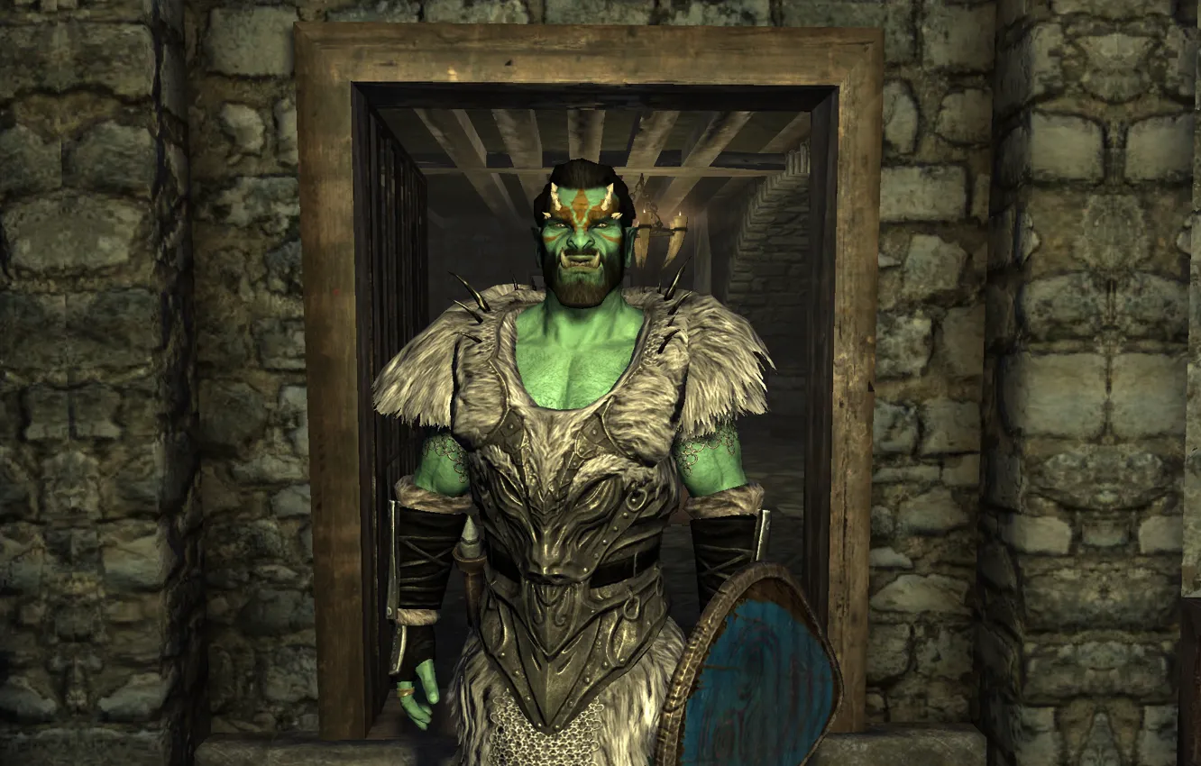 Wallpaper Orc, Skyrim, Dragon limit, Maruca for mobile and desktop ...