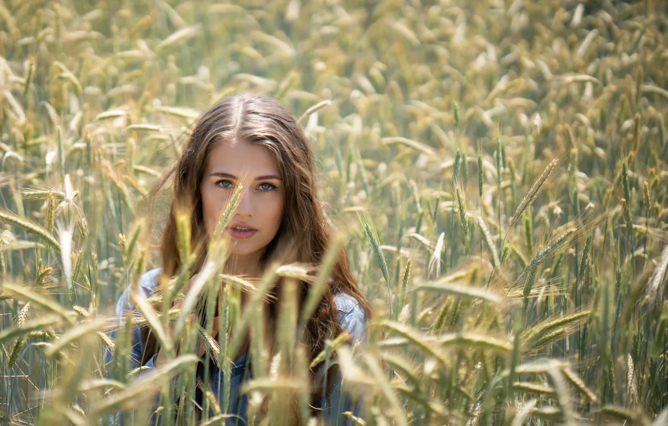 Wallpaper Field Look Girl Face Sweetheart Model For Mobile And
