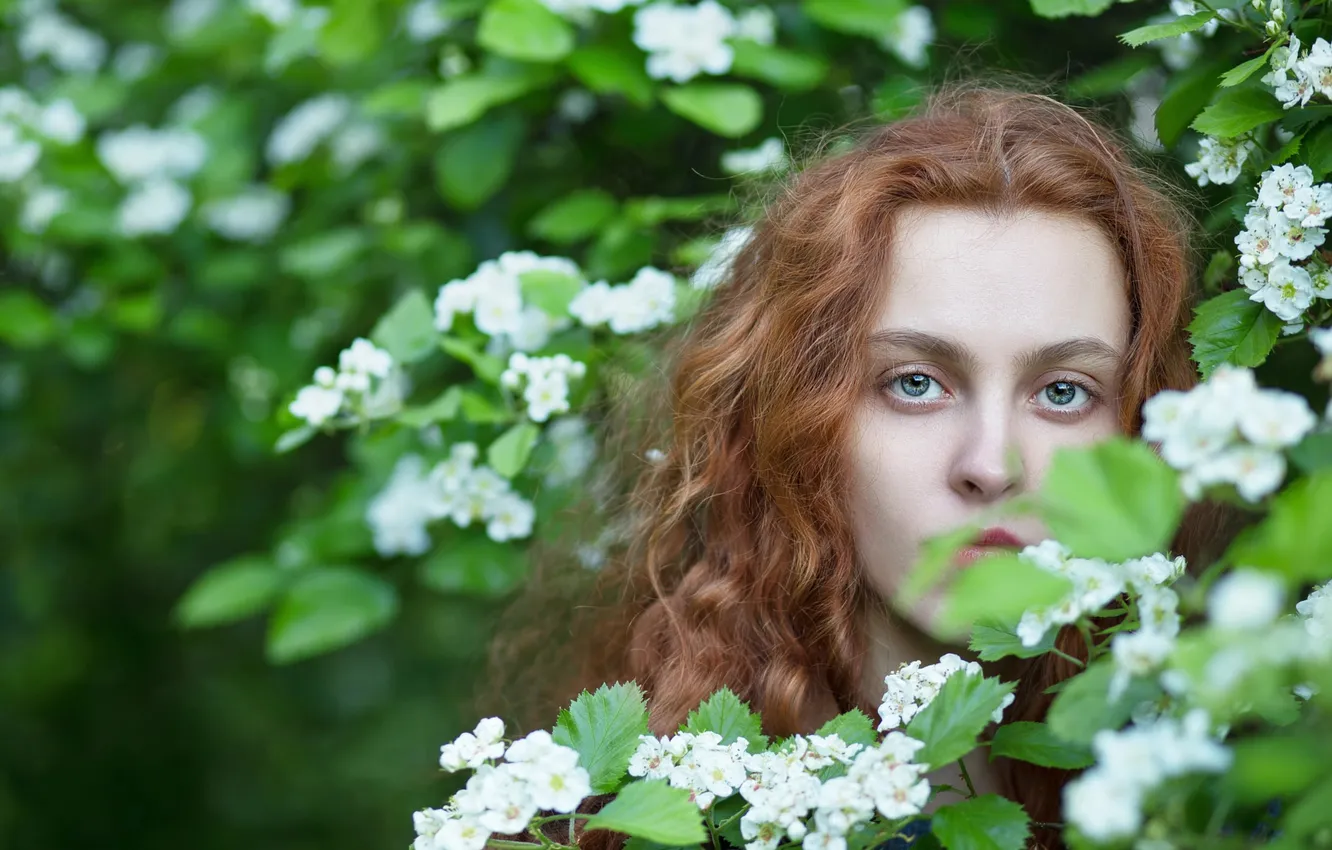 Wallpaper look, girl, face, pose, portrait for mobile and desktop ...