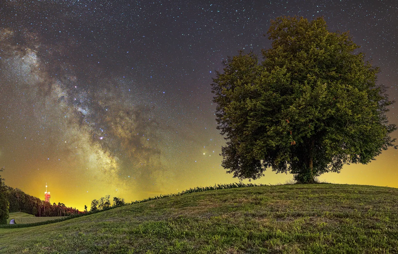Wallpaper field, the sky, grass, stars, light, trees, night, hills for ...