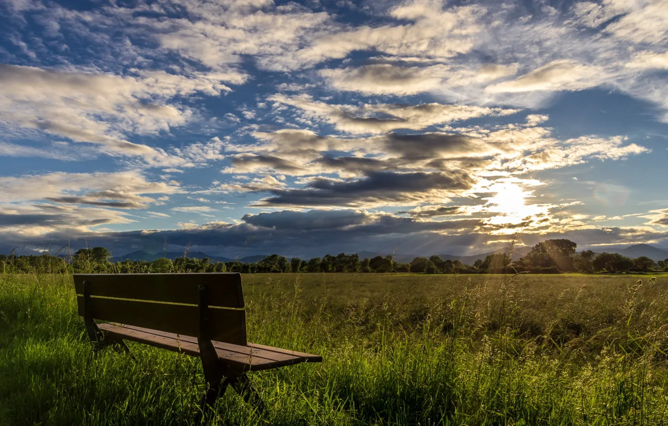 Wallpaper field, summer, morning, bench for mobile and desktop, section ...