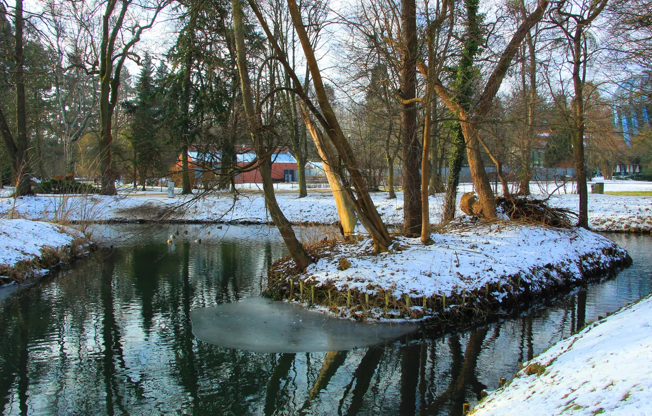 Wallpaper water, park, lake, pond for mobile and desktop, section ...