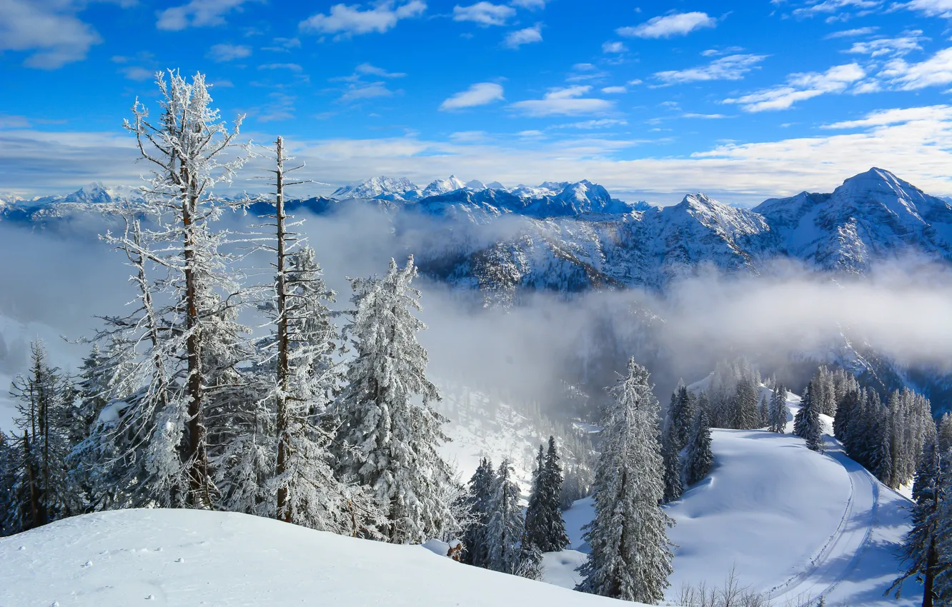 Wallpaper winter, snow, morning for mobile and desktop, section пейзажи ...