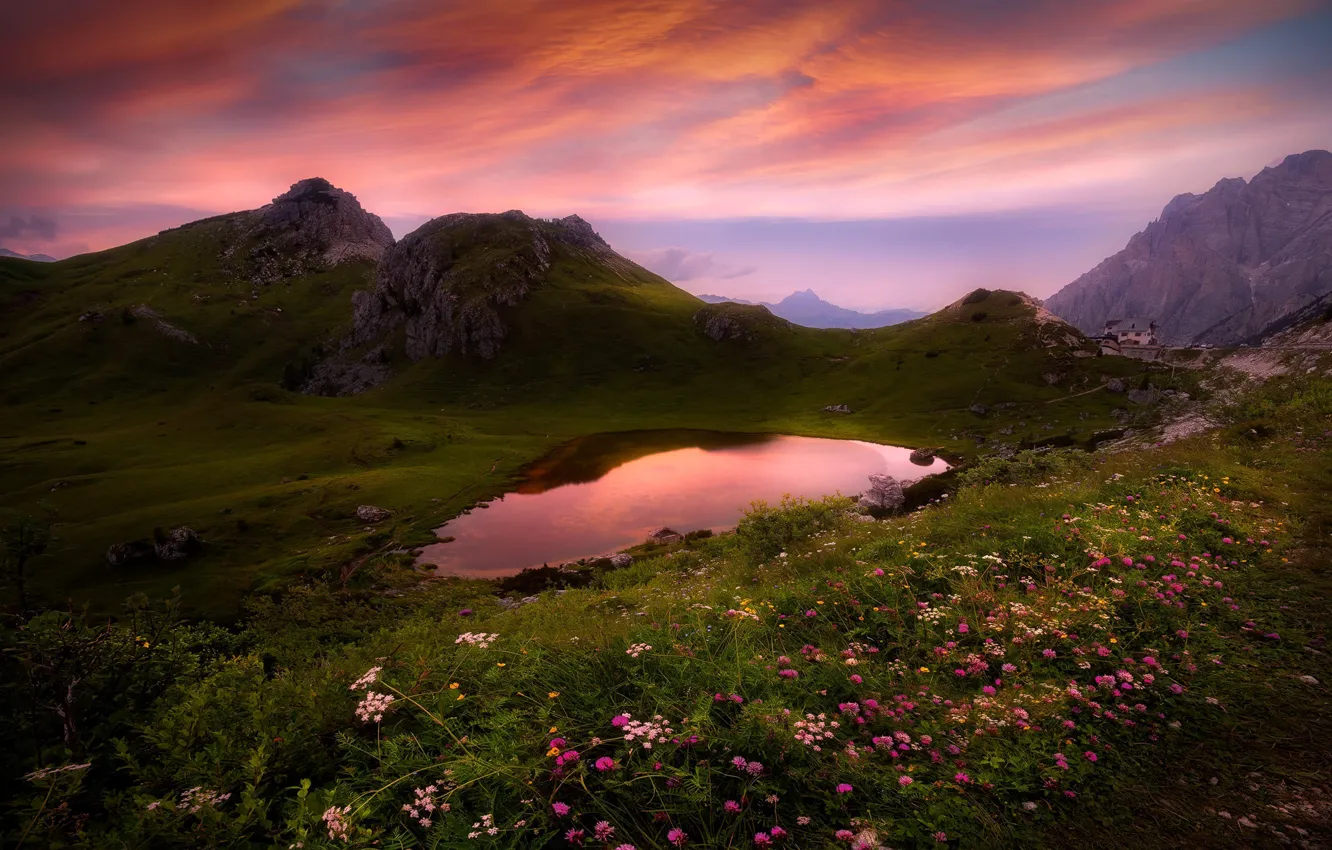 Wallpaper flowers, mountains, lake for mobile and desktop, section ...