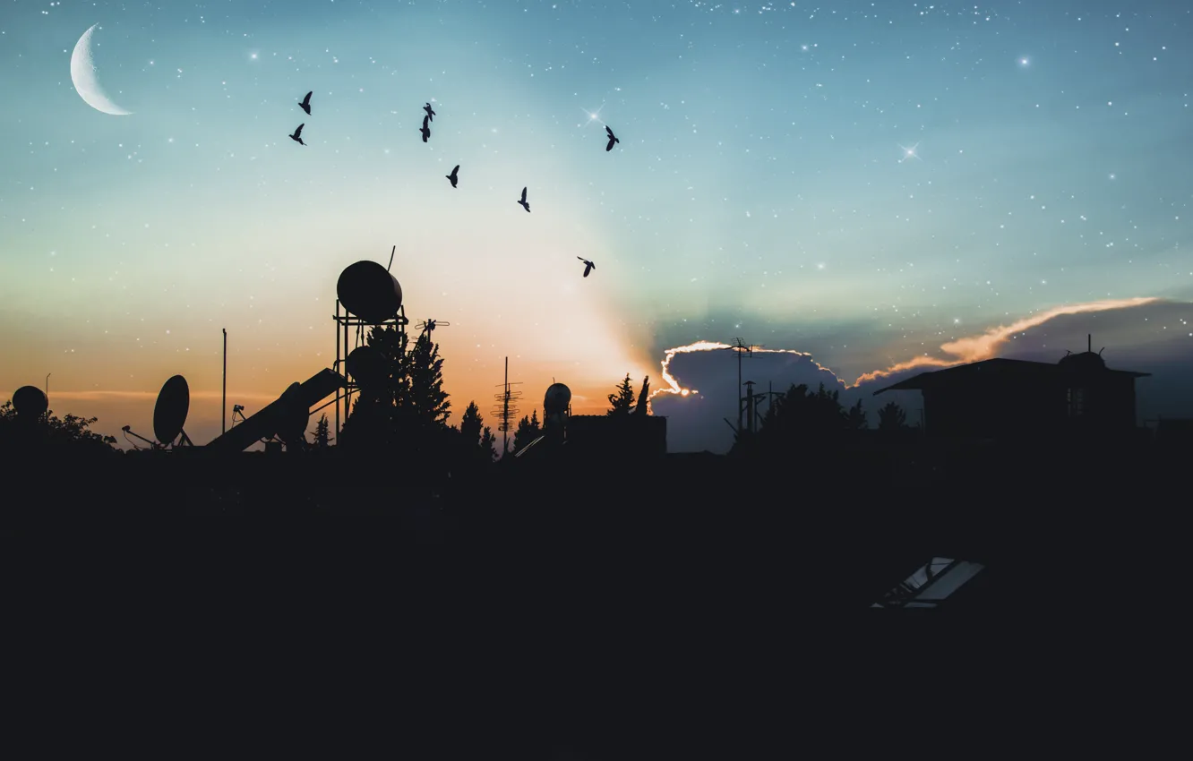 Wallpaper city, landscape, nature, bird, sunset, night, Land, beatiful ...