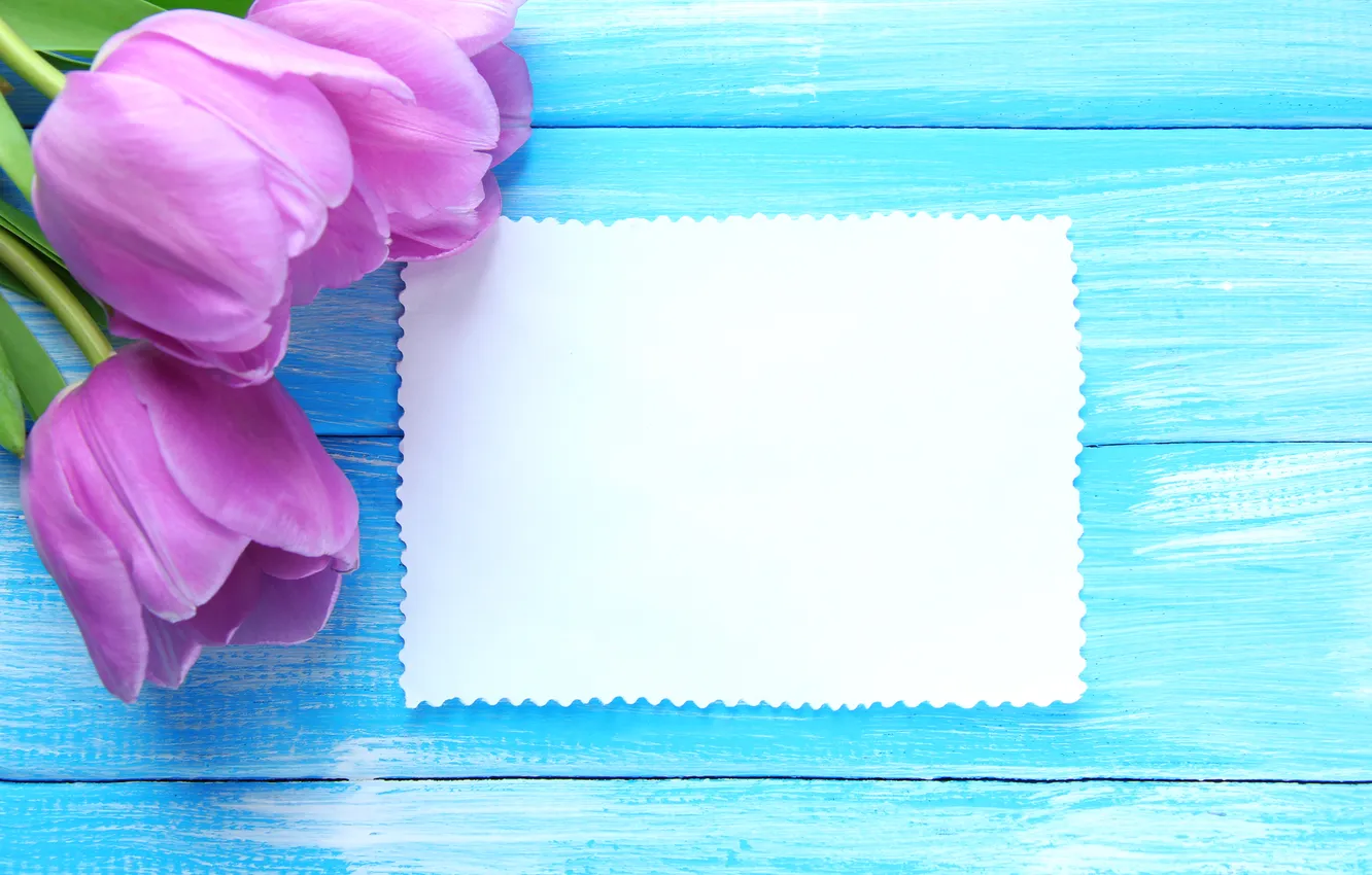 Wallpaper flowers, bouquet, tulips, wood, flowers, tulips, postcard, spring for mobile and ...