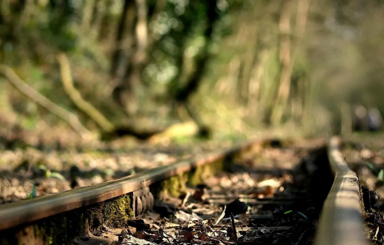 Wallpaper road, rails images for desktop, section природа - download