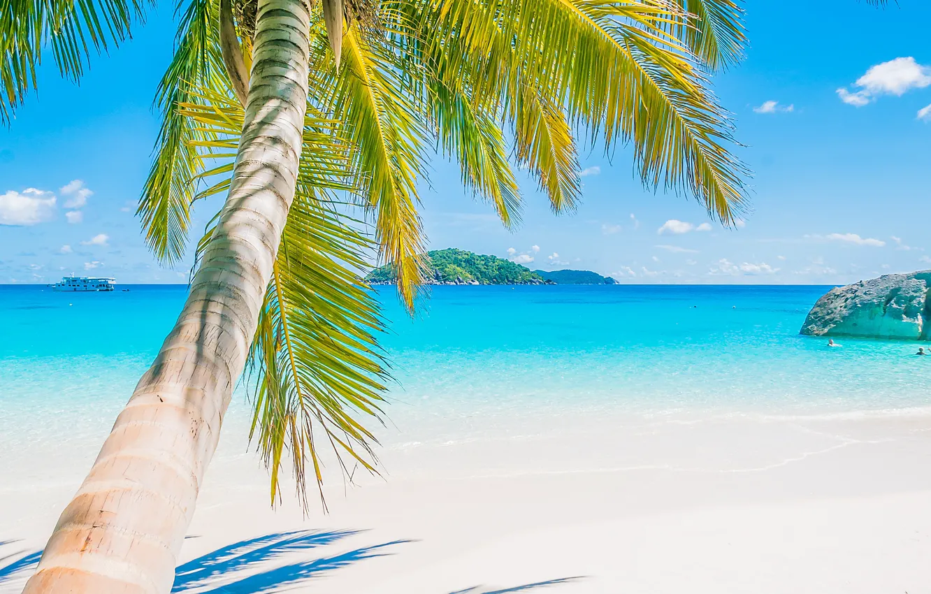 Wallpaper sea, beach, landscape, tropics, palm trees, blue water for ...