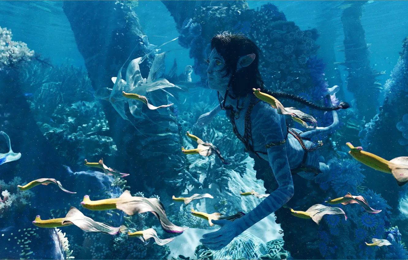 Wallpaper Avatar, under water, Avatar: The Way of Water, Left for ...