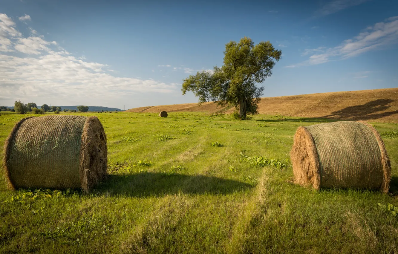 Wallpaper field, the sky, tree, hay, bales, bales images for desktop ...