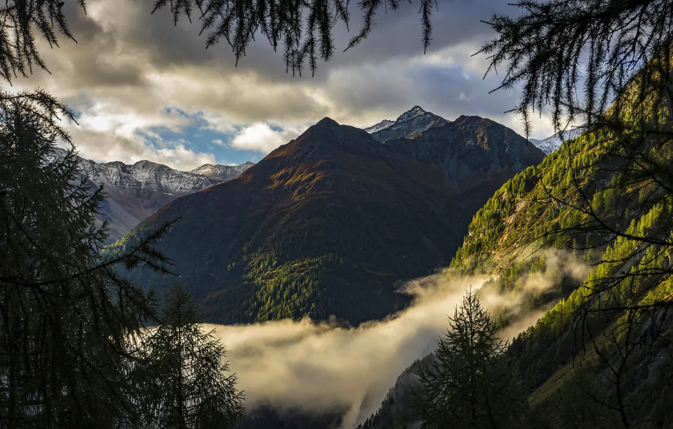 Wallpaper forest, the sky, clouds, light, trees, mountains, branches ...
