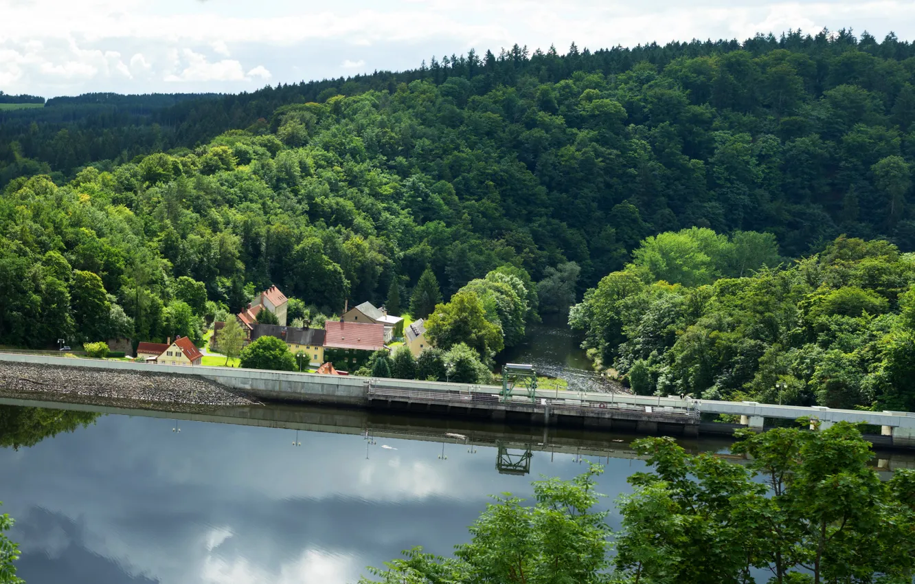 Wallpaper greens, forest, trees, bridge, river, Germany, panorama ...