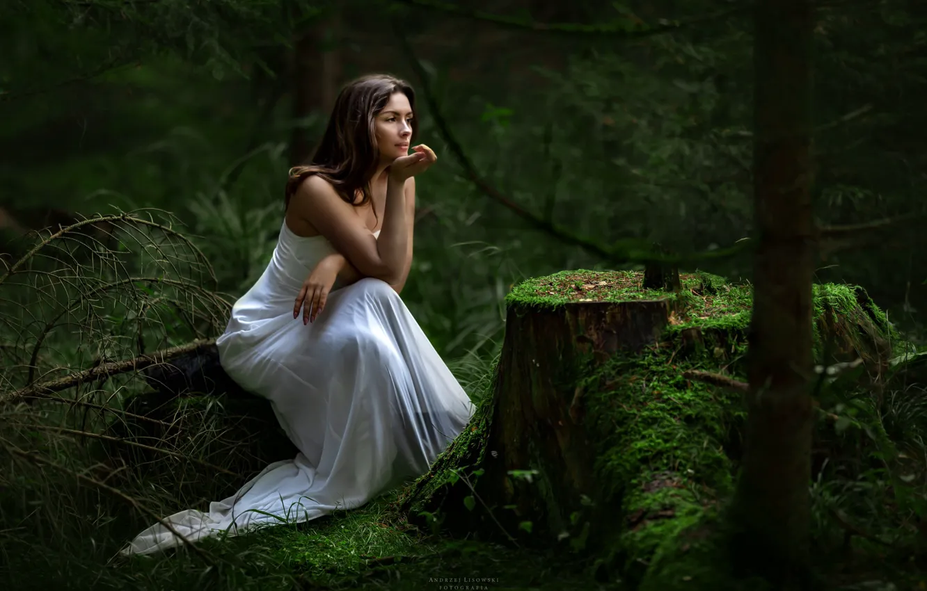 Wallpaper greens, forest, moss, stump, dress, photographer Andrzej Lisowski for mobile and ...