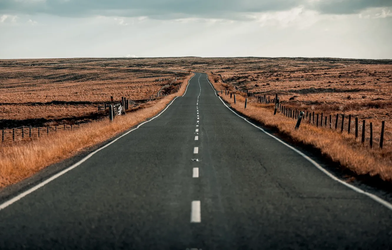 Wallpaper road, field, nature for mobile and desktop, section пейзажи ...