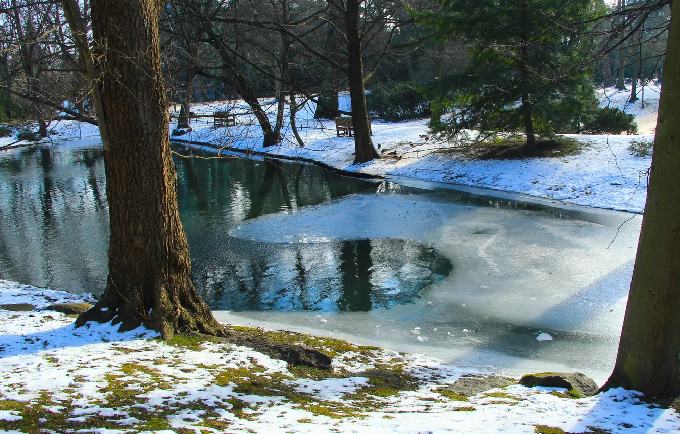 Wallpaper ice, water, park, winter, pond for mobile and desktop ...